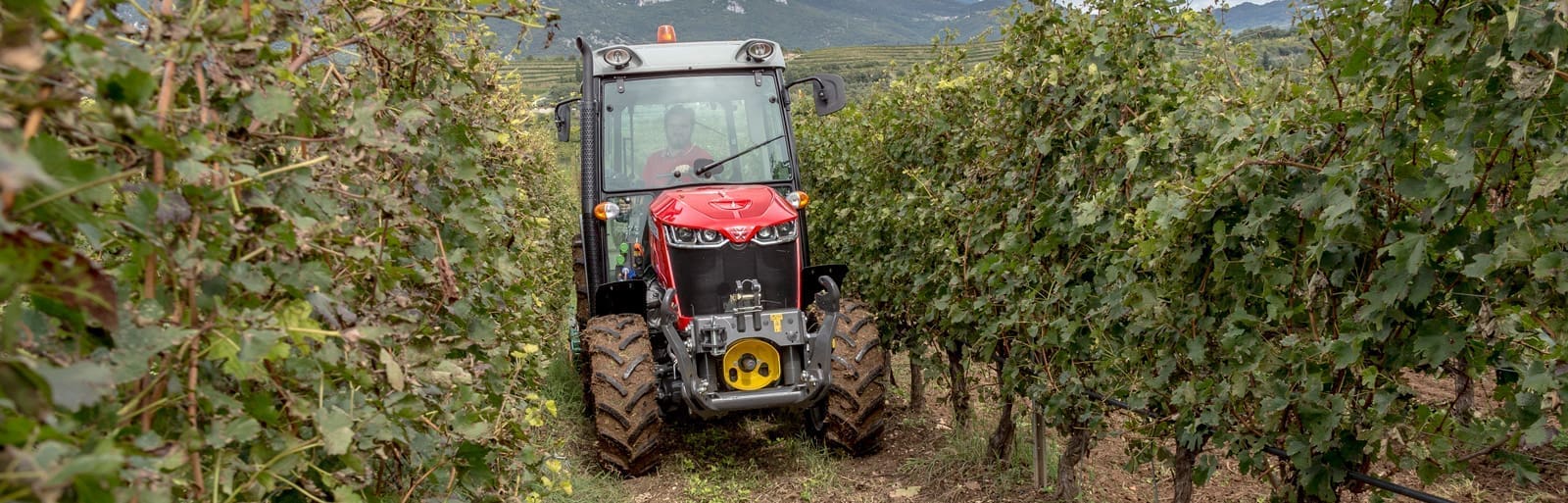 MF 5S Tractor - Hamilton Ross Group